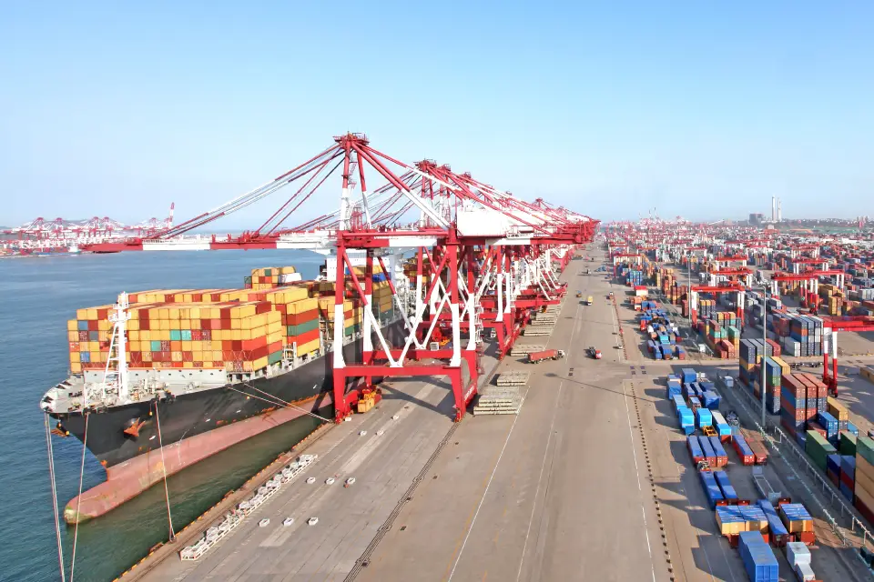 Import & Export Trade Declarations (TDEC) | Tradelink